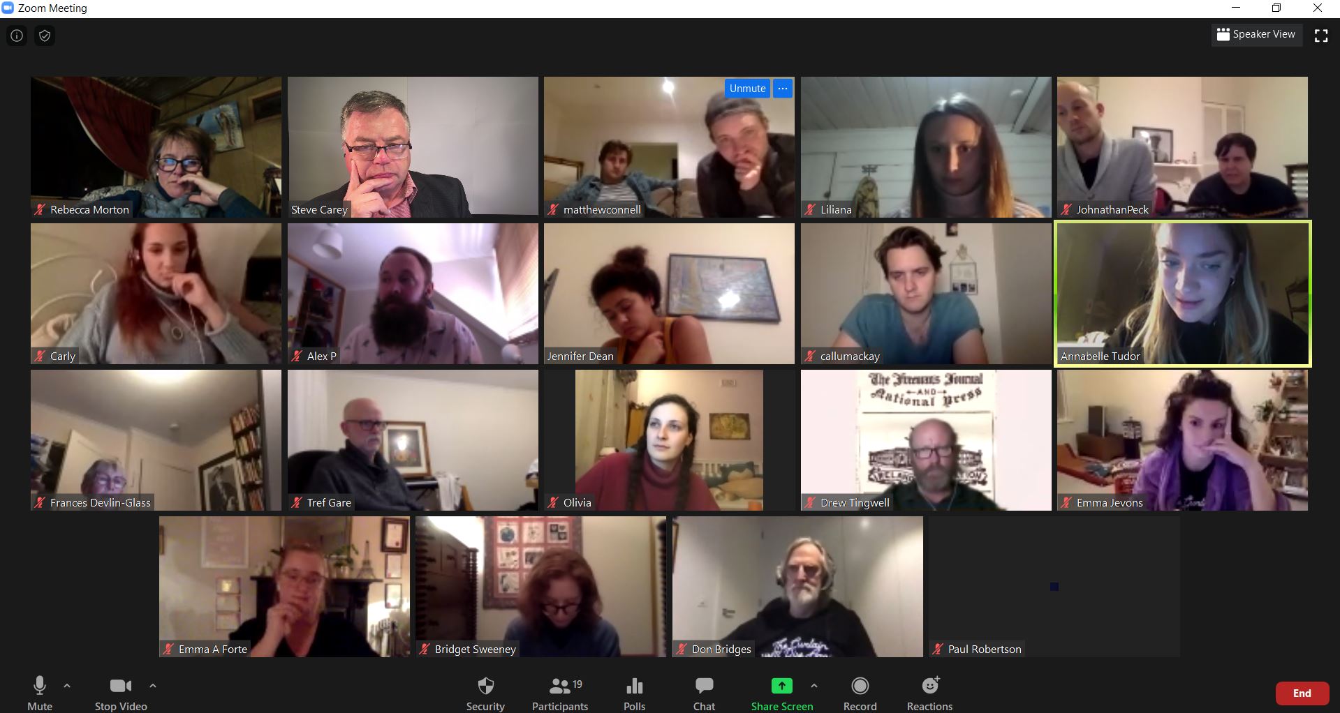 Behind the scenes of Zoomsday Bloomsday | Tinteán