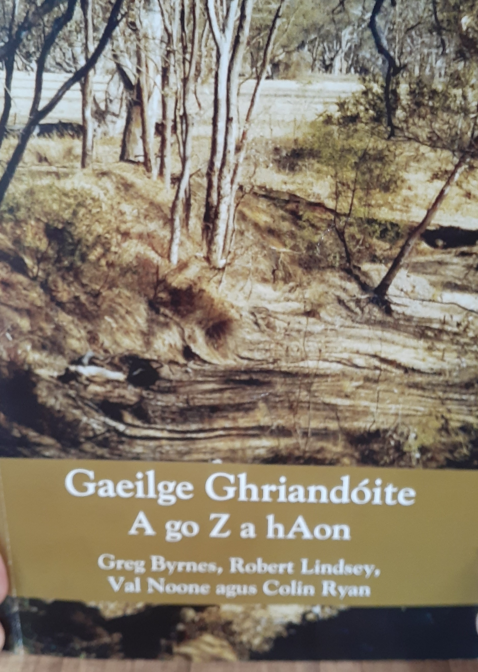 Sunburnt Irish A-Z | Tinteán