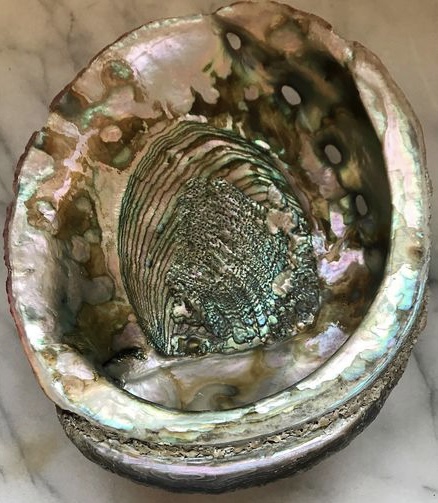 Cluas Mhara Sea Ears | Tinteán